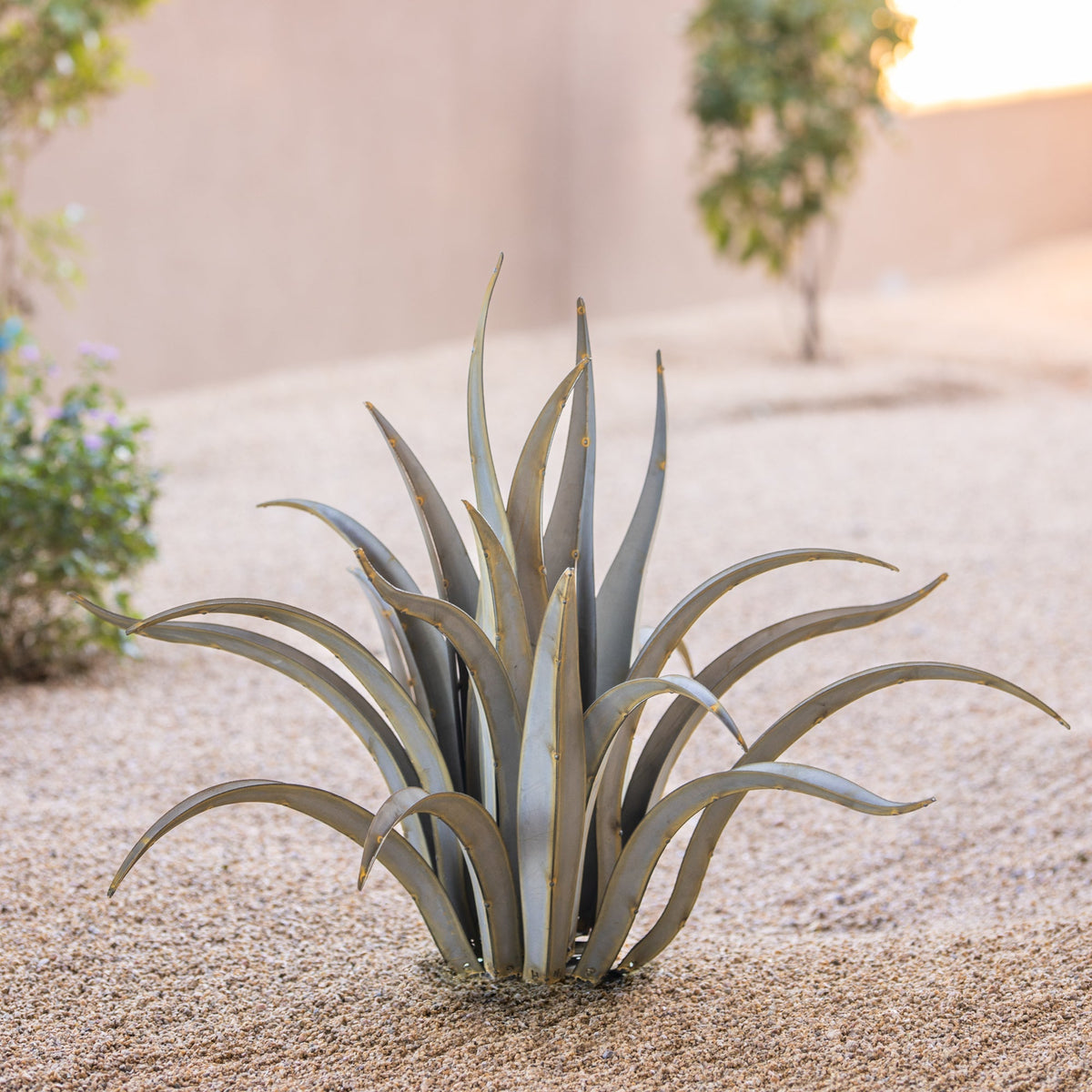 Octopus Agave-Large – Sunrise Patios